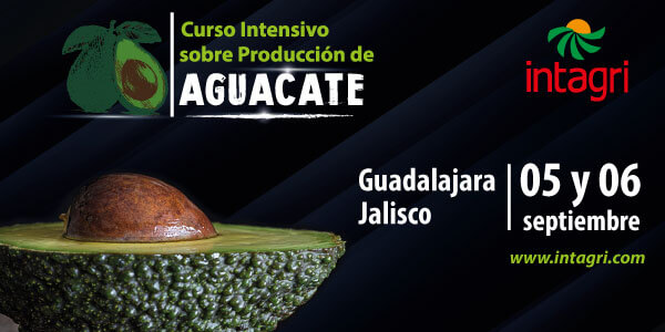 Curso Intensivo sobre Producción de Aguacate - Inicio | Intagri S.C.